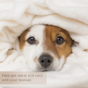 Buyyet Cute Greyhound Dog Fleece Flannel Gift Blanket Lightweight Soft Throw Puppy Dog Lovers Gift Blanket for Women Men Funny Decoration Blanket for Bed Couch Travel Outdoor 40''x 50'' for Kids/Child