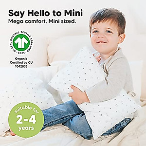 Mini Toddler Pillow with Pillowcase - 9x13 My Little Dreamy Mini Pillow, Organic Toddler Pillows for Sleeping, Kids Pillow, Small Pillows, Travel Pillows for Sleeping, Toddler Bed Pillows (Acorn)