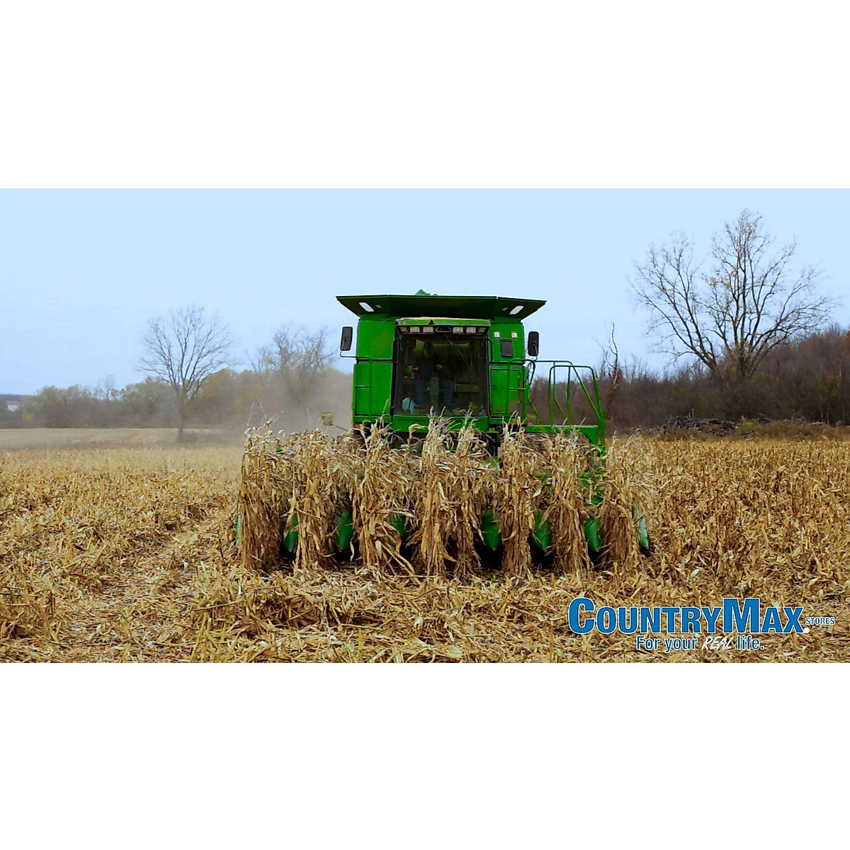 Bulk Whole Corn for Wildlife Feeding (1, 50 Pounds)