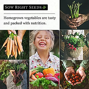 Sow Right Seeds - Roma Tomato Seed for Planting - Non-GMO Heirloom Packet with Instructions to Plant a Home Vegetable Garden - Great Gardening GIF (1)