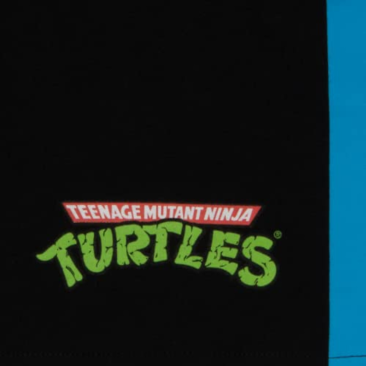 Nickelodeon Teenage Mutant Ninja Turtles Boys Character Costume 2-Piece Set, Short Sleeve Hoodie Tshirt & Shorts 2-Pack Bundle Set for Toddlers (Blue, Size 5/6)