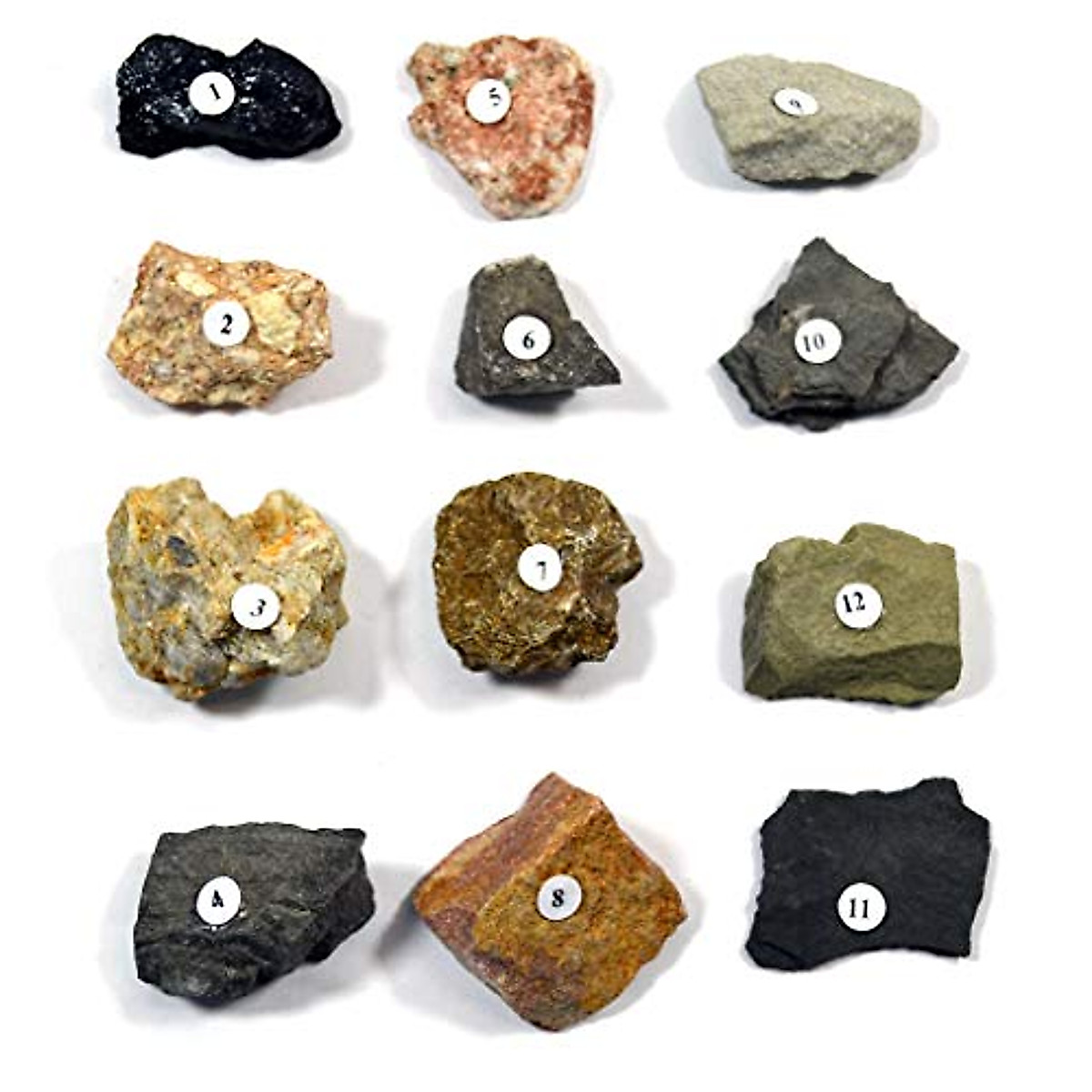 Eisco Metamorphic Rocks Kit - Contains 12 specimens Measuring Approx. 1" (3cm)