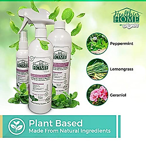 CHOMP! Insect and Pest Control for Home, Bedding and Indoor: Plant-Based Ant, Bed Bug, Dust Mite, Spider and More - Mint Scent 2-Pack, 24 Oz R2U, 24oz 3X Concentrate