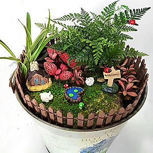 BEZALEL Fairy Garden Accessories - Upgrade Fairy Garden Kit Fairy Garden Supplies Miniatures Figurines for Micro Landscape Plant Pots Bonsai Craft Decor Terrarium Decor - Fairy Garden Decor 25pcs