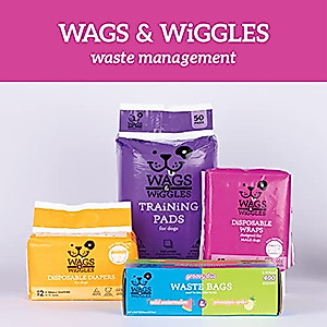Wags & Wiggles Large Scented Dog Waste Bags | Pineapple Scented Dog Poop Bags | 4 Rolls of Doggie Bags, 60 Count Dog Waste Pickup Bags in Green/Orange