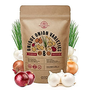 8 Onion Seeds Variety Pack Heirloom, Non-GMO, Onion Seed Sets for Planting Indoors, Outdoors Gardening. 1600+ Seeds: Walla Walla, Green Onion, Red Burgundy, White & Yellow Sweet Spanish Onions & More