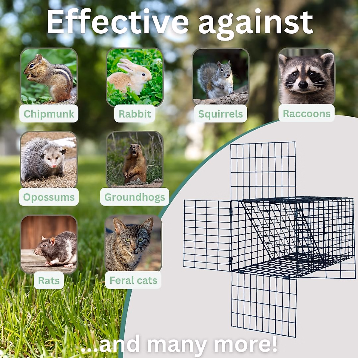 "OWDE" 5" One-Way Door Excluder –Professional Black Mesh Evictor Trap by Wildlife Control Supplies –Safe and Effective Pest Control for Commercial and Residential Use –Great for Barns, Garages & Sheds