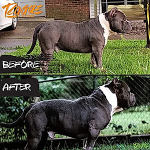 ROGUE PET SCIENCE Healthy Weight - Natural Weight Gainer For Dogs - High Calorie Tasty Dog Food & Cat Food Topper - Supports Weight Gain, Gut Health & Digestion - Helps Provide Natural Energy (1/2 lb)