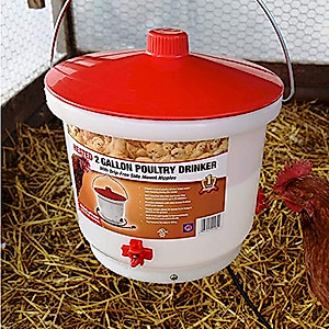 Farm Innovators HB-60P Heated 2 Gallon Poultry Drinker