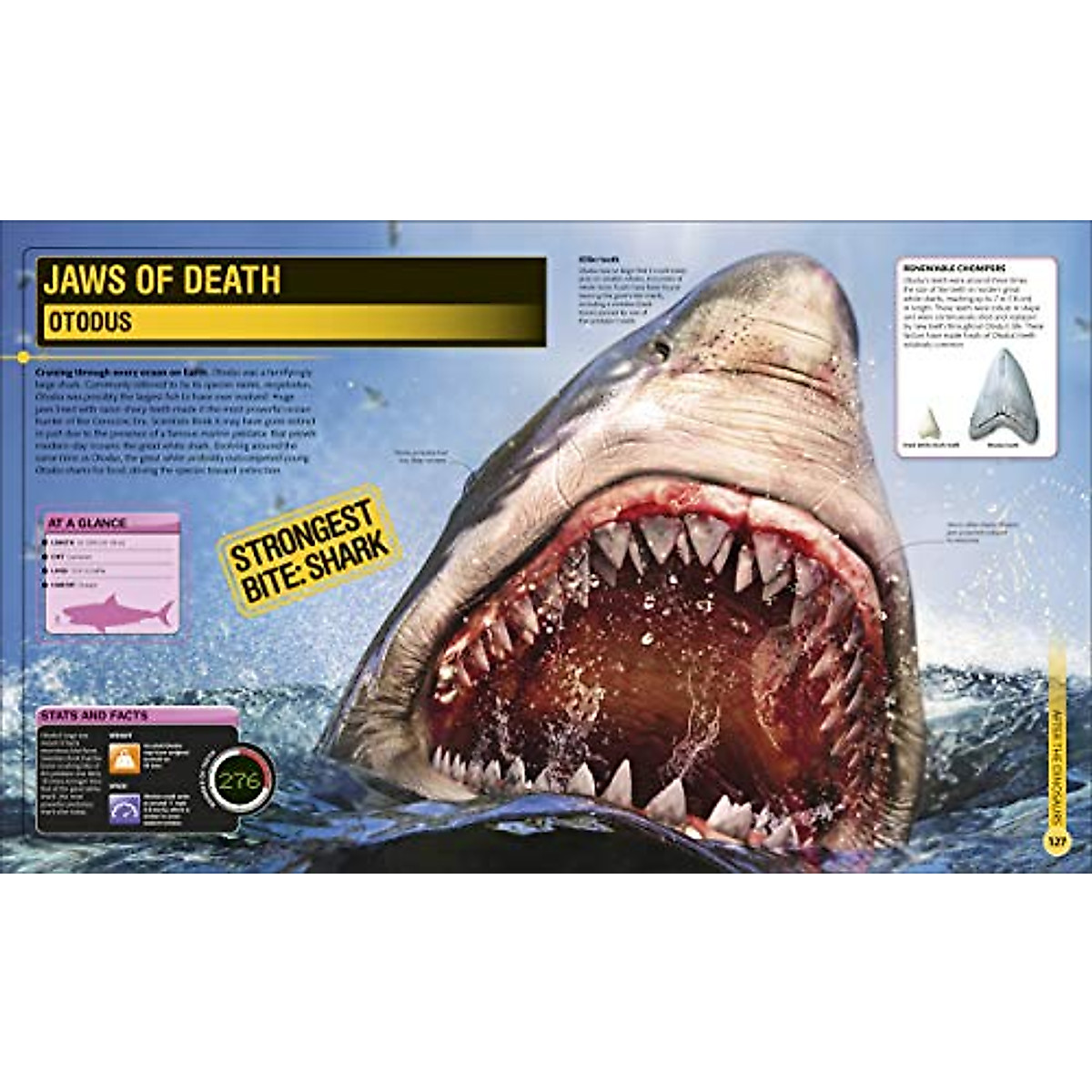 Super Dinosaur Encyclopedia: The Biggest, Fastest, Coolest Prehistoric Creatures (DK Super Nature Encyclopedias)