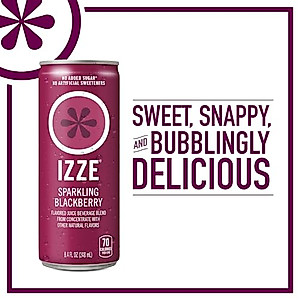 IZZE Blackberry Juice, No Sugar Added, 8.4 oz., 24/Carton