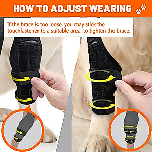 Dog Knee Brace for Torn Acl Hind Leg, Dog Leg Brace with Harness and Connection Belt, Support for Knee Cap Dislocation, Arthritis, Torn ACL Hind Leg (S（Thigh Girth 4.7″-8.9″, Leg Height 2″-6.9″）)
