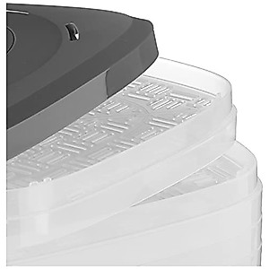 DASH DEHY100GY SmartStore™ Compact Electric Food Dehydrator Machine with 5 Stackable BPA Free Trays + Temperature Controls for Fruit, Vegetables, Herbs, Nuts, Jerky, and other Healthy Snacks - Gray