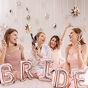 Champagne Gold Star Garland Twinkle Little Stars Decoration Hanging Streamer Backdrop Banner Birthday Party Decor/Baby Shower/Anniversary/Engagement/Christmas/New Year/Wedding/Graduation/Ramadan/EID