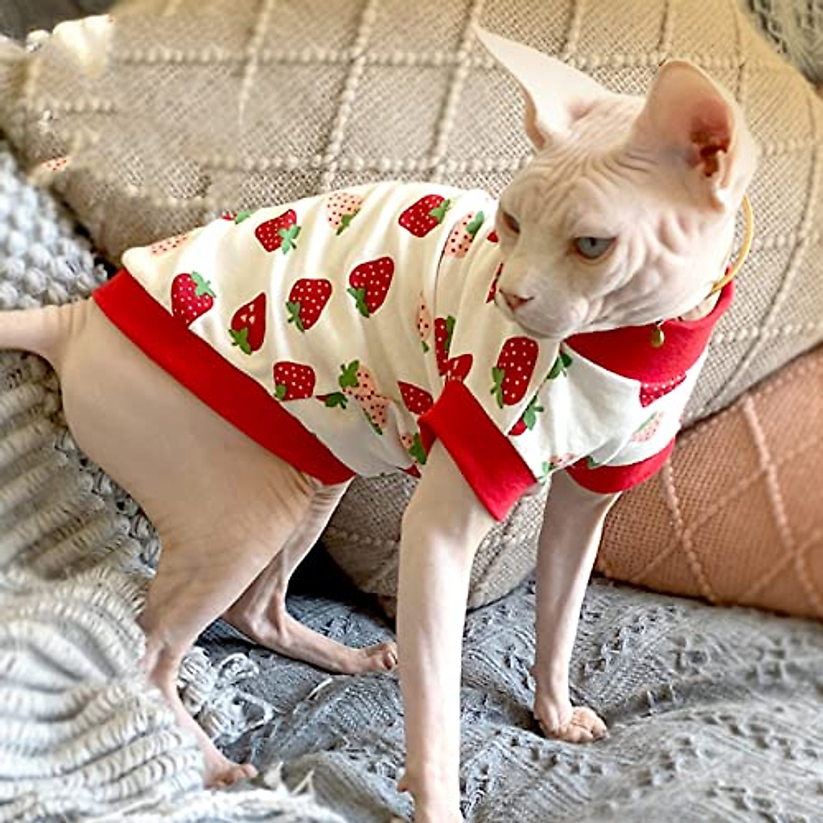Sphynx Cat Summer Clothes for Cats Only Pattern Cotton T-Shirts Soft Breathable Pullover Vest with Sleeveless Kitten Shirts for Sphynx (L（7.3-9.7lbs）, Strawberry)