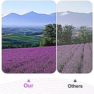 HNGT for Brother LC400 Ink Cartridge Replacement for MFC-J6910CDW J6710DW J5910CDW J825N J955DN J955DWN J705DW J825DW J625DW J432W J430W J6910DW J6710DW J5910DW 1 Pack