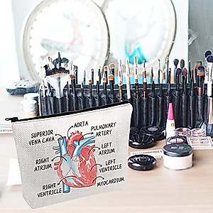 PWHAOO Anatomy Human Heart Cardiologists Doctor Anatomical Medical Cosmetic Bag Nursing Student Gift (AORTA PULMONARY ARTERY B)