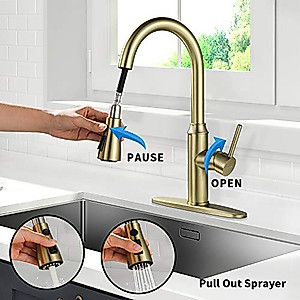 Gold Kitchen Faucet with Sprayer,Single Handle Kitchen Sink Faucet with Pull Out Sprayer, Champagne Bronze,Arofa
