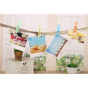 Rexcp 20 Pack Colorful Plastic Clothespins Small, Sock Clip Laundry Clothes Pins Clips, 4 Colors Clothes Drying Line Pegs for Kitchen Outdoor Trip