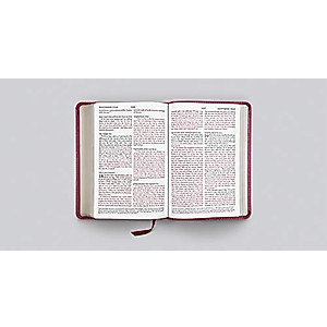 ESV Large Print Compact Bible(8 pt Lexicon type Print) (TruTone, Berry, Floral Design)