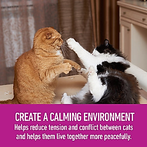 Comfort Zone Multicat Diffuser Kit for Cat Calming