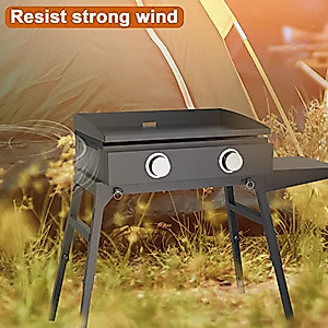 Wind Guard and Food Mesh Screen for Blackstone 22 Inch Griddle, Magnetic Wind Screen for Blackstone 22" Flat Top Gas Grill, Heat Shield/Grease Cup Filter for Blackstone with Rear Grease Cup, Black