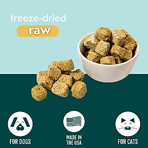 Momentum Carnivore Nutrition Freeze-Dried Chicken, Spinach & Sea Kelp – Single-Ingredient Raw Dog & Cat Treats – High-Protein, Grain-Free Snacks for Pets – 3 oz Bag