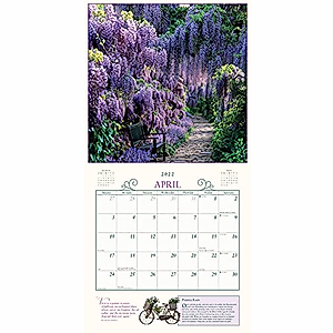 Secret Garden Wall Calendar 2022: A year of photographs that transport you to a garden sanctuary.