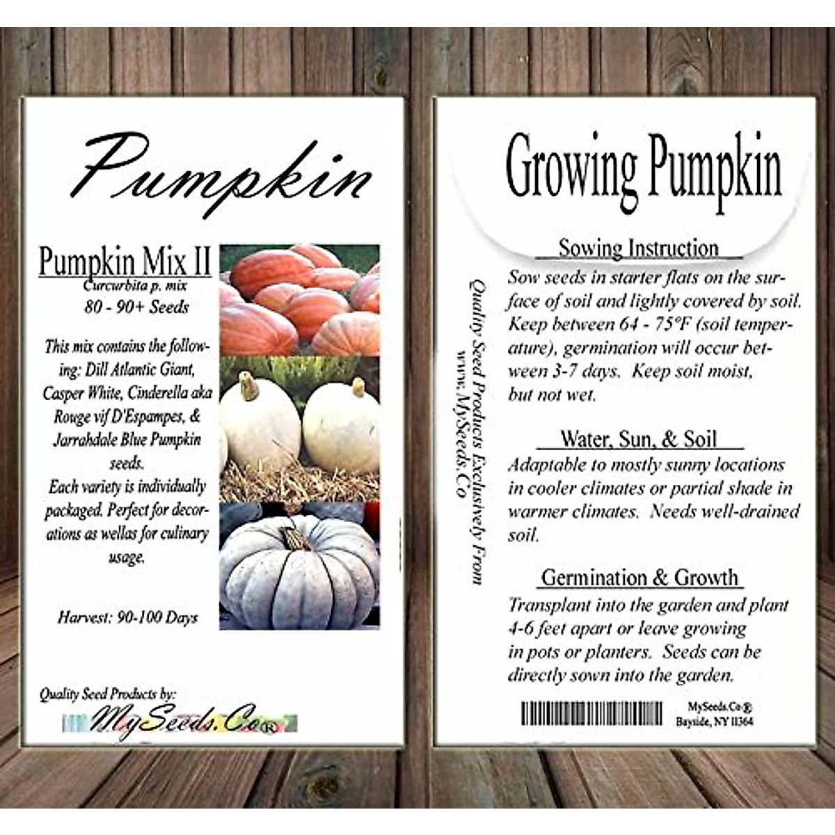 Big Pack (80-90+) Dill Atlantic Giant, Casper White, Cinderella Rouge VIF D'Etampes, & Jarrahdale Blue Pumpkin Seeds - Non-GMO Seeds by MySeeds.Co (Big Pack - Pumpkin Mix II)