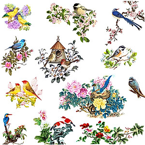 Birds on Tree Branches Wall Decals,Cardinal Birds Flowers Wall Stickers Spring Summer Robinbird Decor for Home Kitchen Office Kids DIY Supply