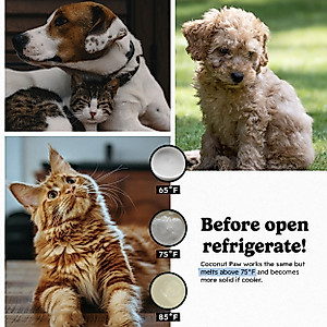 Coconut Paws Coconut Oil for Dogs Skin and Coat, Itching Relief, Hot spot Treatment, Hair Loss, aceite de Coco para Perros | w/Olive & Sunflower Oils | Vet Recommended 8oz - COCONUT ESSENTIALS