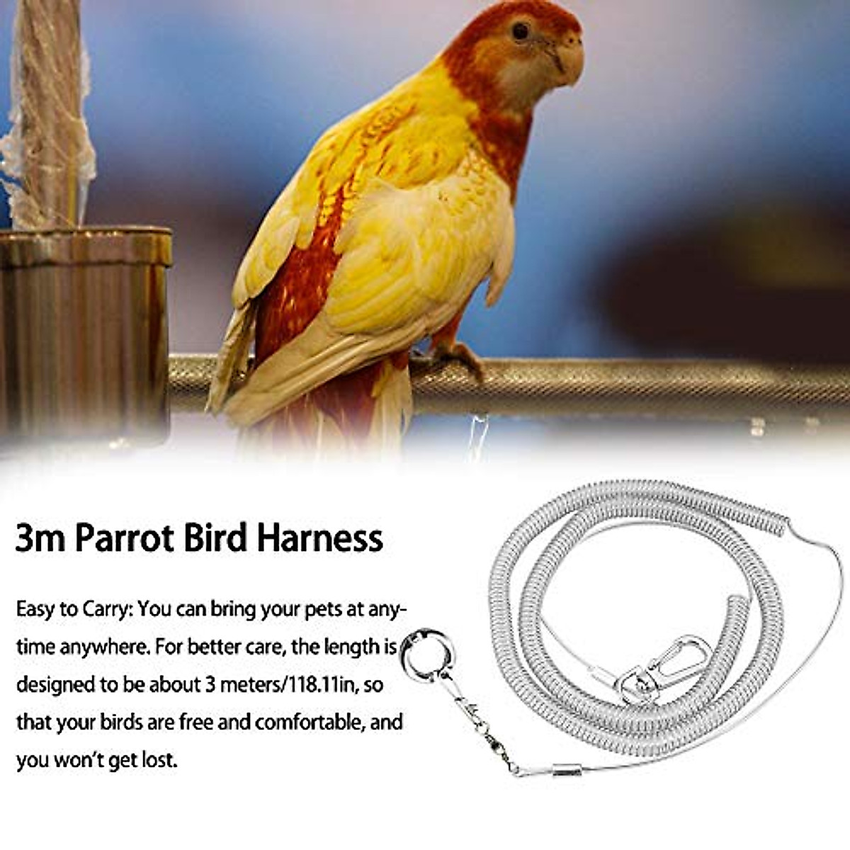 Luckycyc Pet Bird Anklet,Parrot Foot Chain 3M Ultra-Light Parrot Bird Harness Leash Anti-bite Outdoor Flying Training Rope Pet Supplies for Macaw Cockatiel Lovebird