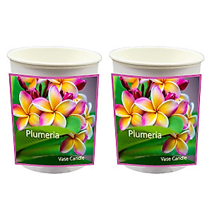 Plumeria Vase Candle - Smells like Plumeria Flowers. (Jar)