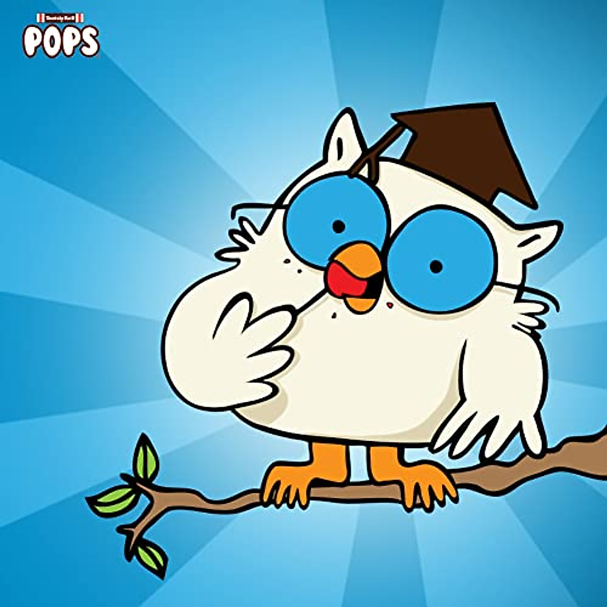 Tootsie Pops - Red Raspberry - 4 lb Bulk By The Cup Bag