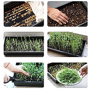 Mr. Pen- Plastic Growing Trays, 5 Pack, Black, Plant Tray, Seed Tray, Seedling Tray, Propagation Tray, Plant Trays for Seedlings, Planting Trays, Microgreens Growing Trays, Seedling Starter Trays