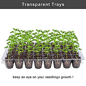 ELCOHO 6 Pack Seed Starter Tray Kit 40 Cells Seedling Trays with Humidity Dome and Base Mini Propagator Plant Nursery Pots Total 240 Cells for Greenhouse Plants Growing, Black