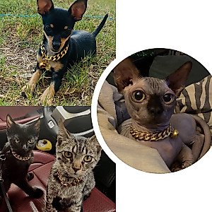 18K Gold Cat Dog Collar Kitten Puppy Stainless Steel Kitten Choker Curb Chew proof Cuban Link Chain with Gold Bell&Personalized custom QR Code Bone Tag