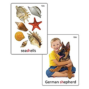 Super Duper Publications | Articulation Photos SH Sound Fun Deck Flash Cards | Educational Learning Resource for Children