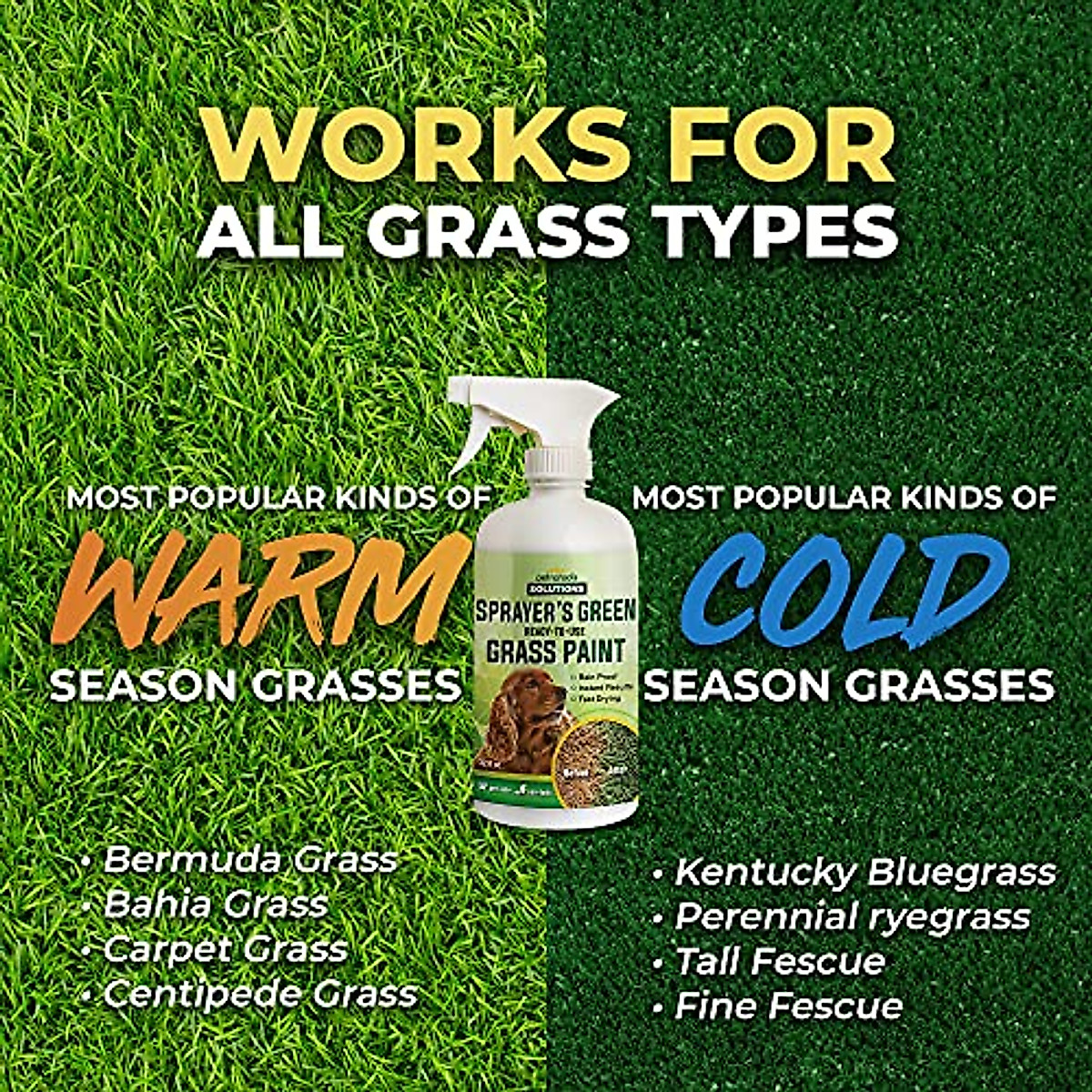 PetraMax Green Grass Paint for Lawn, Ready-To-Use Green Grass Lawn Spray & Dog Spot Repair, Lawn Paint, Spray on Grass, Green Lawn Spray, Green Grass Spray Paint for Lawn Yellow & Urine Spots - 32 oz