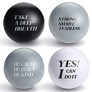 Zomiboo 20 Pieces Motivational Stress Balls Foam Balls Quote Stress Relief Ball Inspirational Relief Balls Hand Exercise Balls for Kids Relieve Motivating Encouraging Adult(Classic Color)