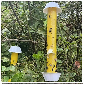 Fly Stick Sticky Fly Traps for Indoors and Outdoor Wasp Traps - Effective Pest Control 4 Pack