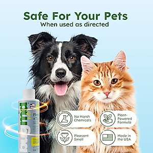 BugMD Flea and Tick Spray (2 Pack) - Flea and Tick Formula for Dogs, Flea and Tick Spray for Dogs, Flea Spray for Home, Flea and Tick Killer, Dog Flea and Tick Control
