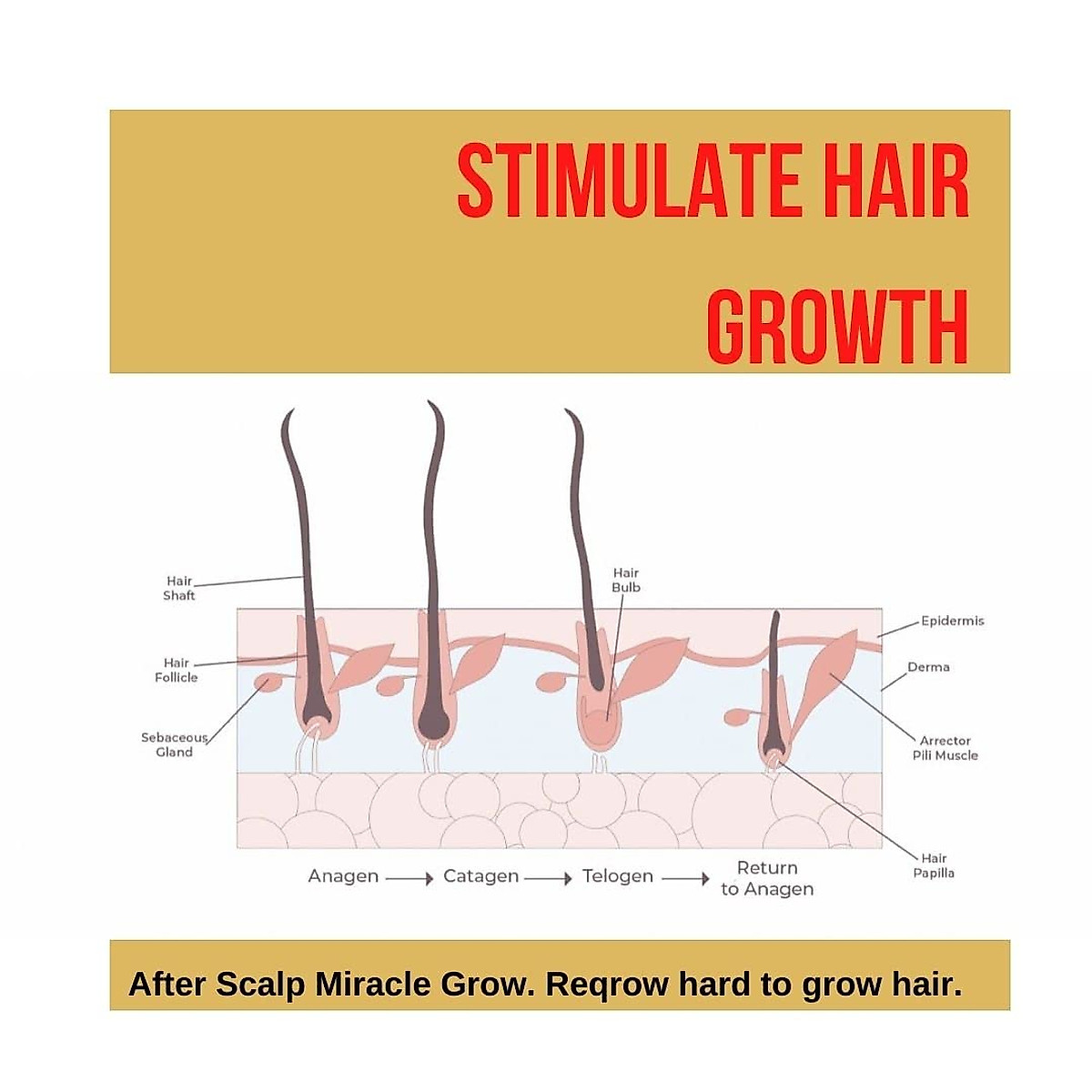 Chebe Butter For Hair Growth. Manuka Honey (Biotin+MSM)| Alopecia Growth Stimulant | Great For Balding/Bald Spots. Chebe Hair Butter, With Chebe Powder. (Chebe Hair Balm)