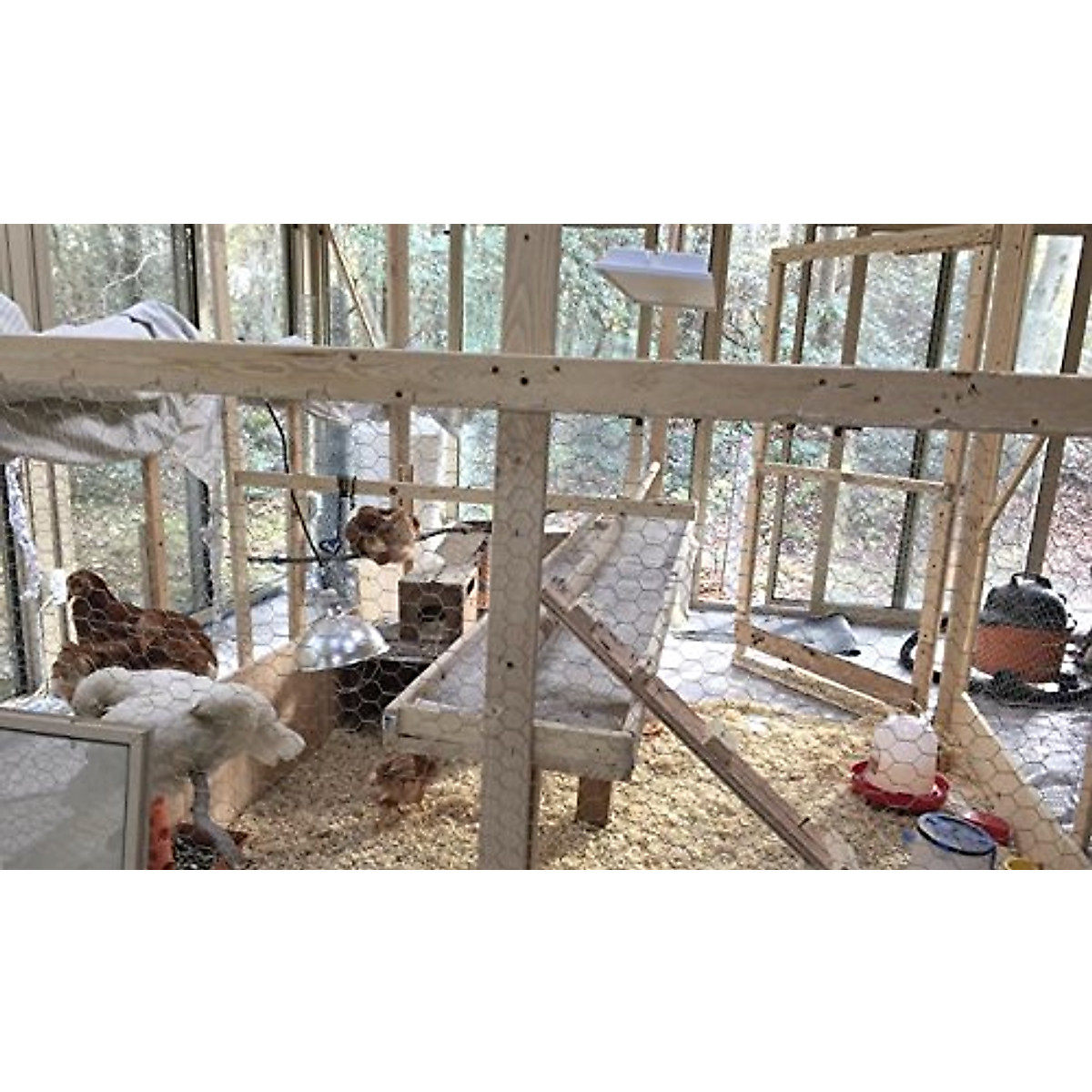 SWEETER HEATER Infrared Heater for Chicks & Pets, Overhead 11x30, 100 Watt