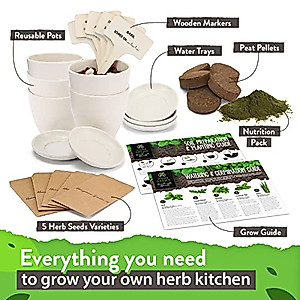 Indoor Herb Garden Starter Kit - 5 Herb Plant Grow Kit w/ Pots & Soil - DIY Heirloom Herb Seeds Home Gardening Kit - Kitchen Window Garden Growing Kit - Unique Gardening Gifts for Women & Men