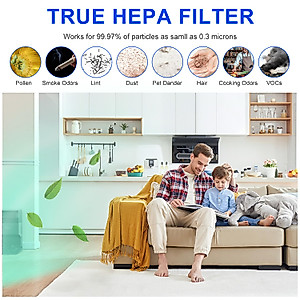 HODSEUKIN (3-Pack) Replacement True HEPA Filters Compatible with Afloia AQ8 Q8/ Honati/Hysure Q7/Tenergy Sorbi DH02 Air Purifier 2-in-1 Dehumidifier(1000ML),H13 Air Clean Dust VOCs