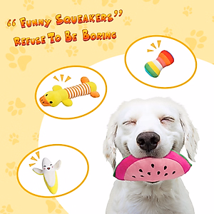 KIPRITII Luxury Puppy Chew Toys - 20 Pack With Rope, Squeaky, and Bite Toys for Teething Small Dogs