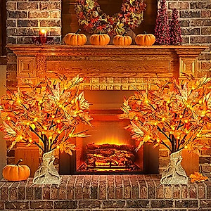 FastDeng 1.5ft Lighted Maple Tree, Artificial Fall Maple Tree with 36 LED Lights, 72 Leaves,6 Acorns, Autumn Tabletop Tree with Burlap Base for Indoor Fall Harvest, Thanksgiving Decorations (2Pack)