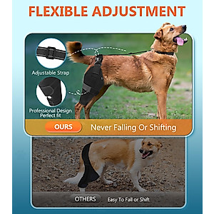 CAMRIER 2X Support Dog Knee Brace with Metal Strips for Joint Pain Relief, Dog Leg Braces for Torn Acl Hind Leg, Rear Leg Brace with Adjustable Traction Belt for Cruciate Ligament Injury, Arthritis