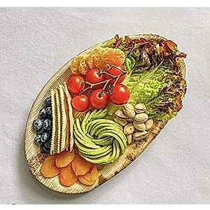 Dtocs Palm Leaf Plates Pack 50, 10X6 Inch Oval | Eco-friendly, Compostable, Natural, Organic Disposable Party Plates For Wedding, Camping, Birthday Dinner | Better Than Bamboo, Paper Plates